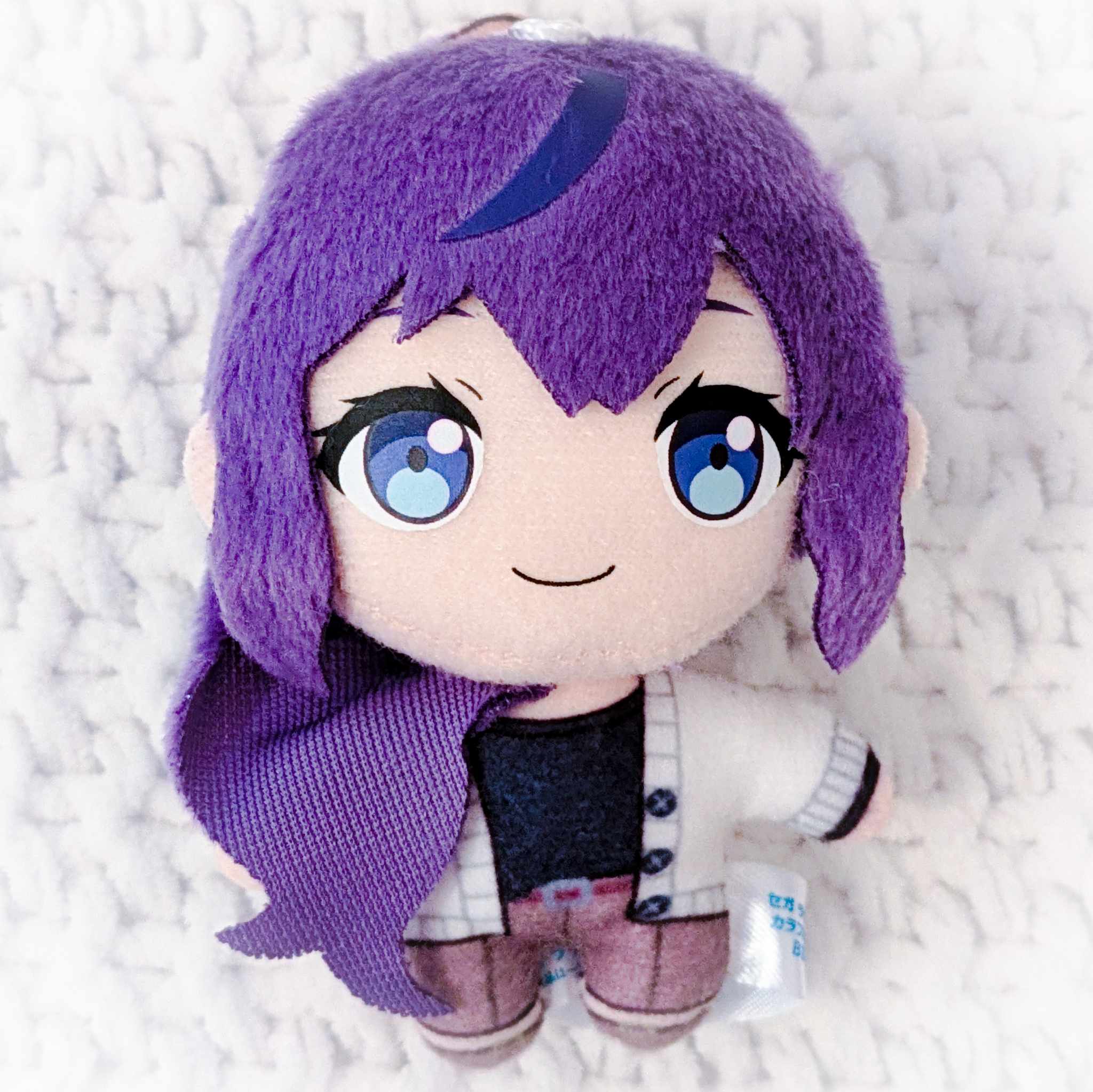 Asahina Mafuyu - Project Sekai Hatsune Miku Colorful Stage Chibi Plush ...